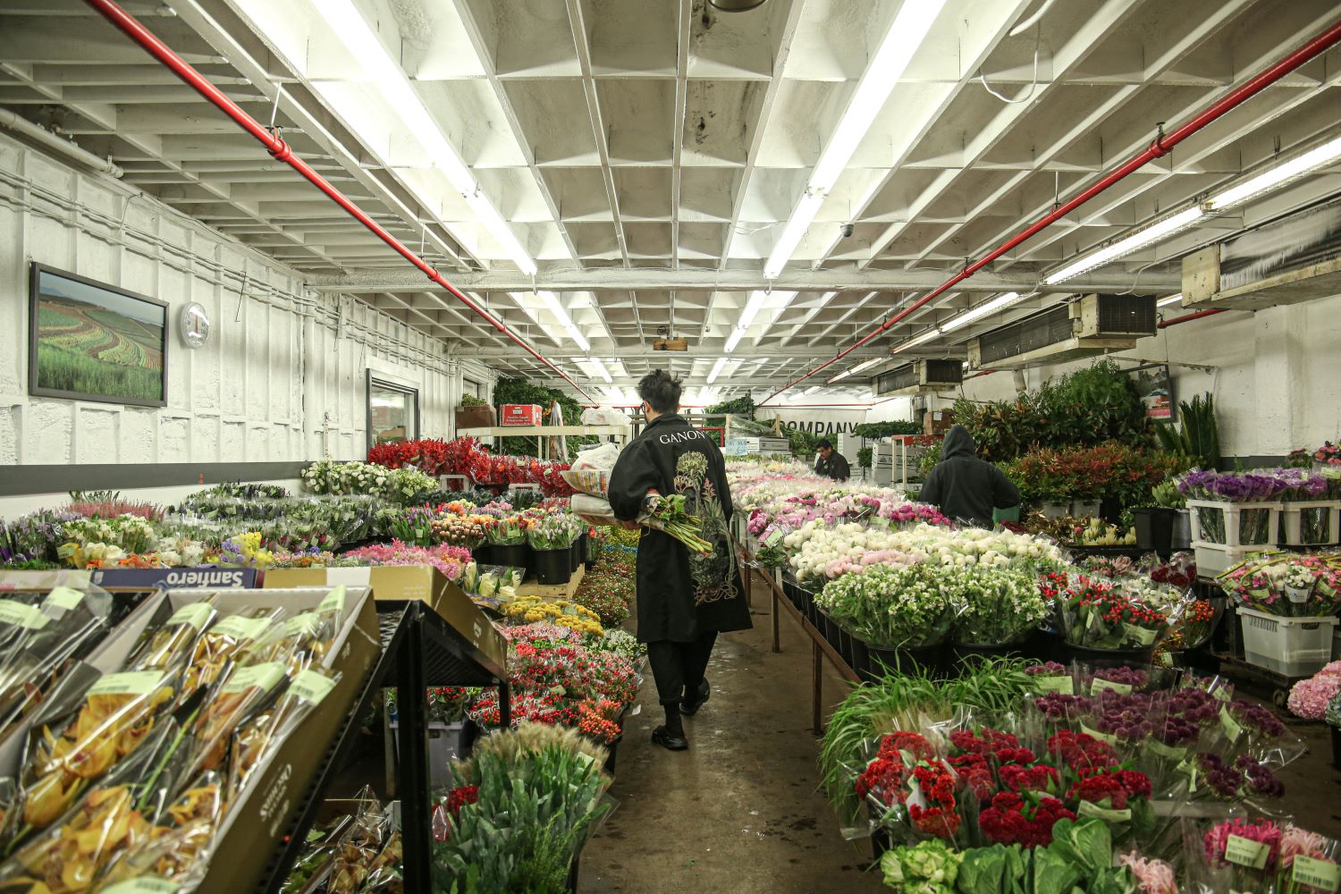 Downtown LA, U.S.A. Flower Market, with over 100 years of history ...