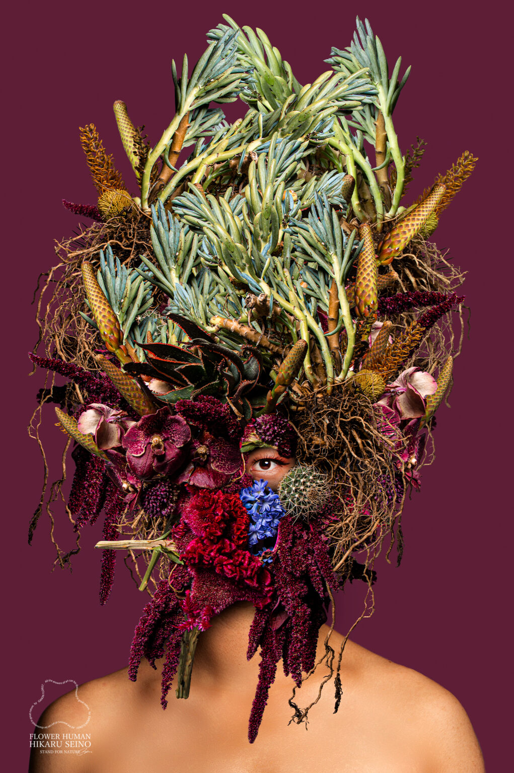 ART WORK | 清野光 Hikaru Seino