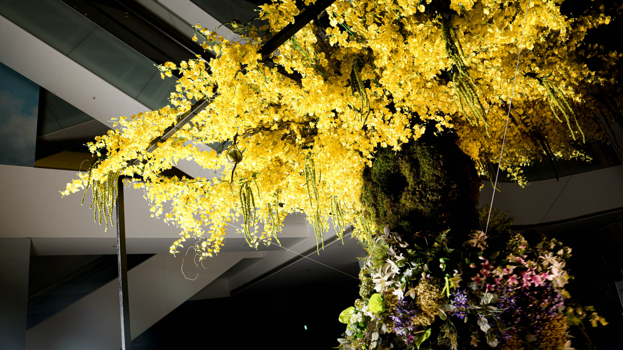 The Hilton plaza × Hikaru Seino | 清野光 Hikaru Seino